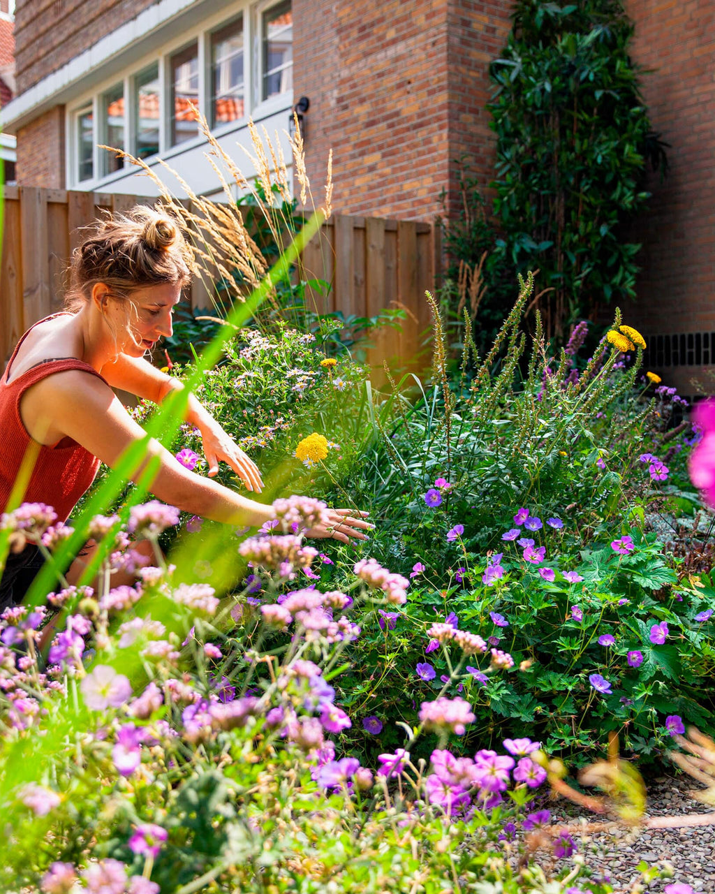 Beplantingsplan op maat voor een natuurlijke border | Sprinklr.co