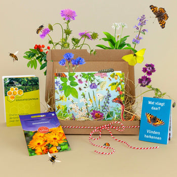 Geef groen cadeau | Duurzame cadeautjes | Sprinklr.co